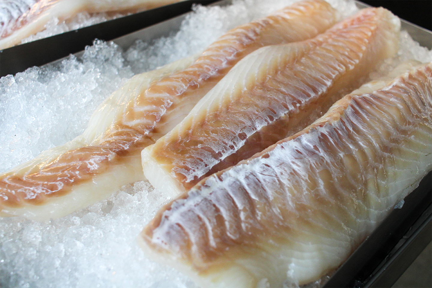 Waves Seafood – Modern Market and Prepared Foods