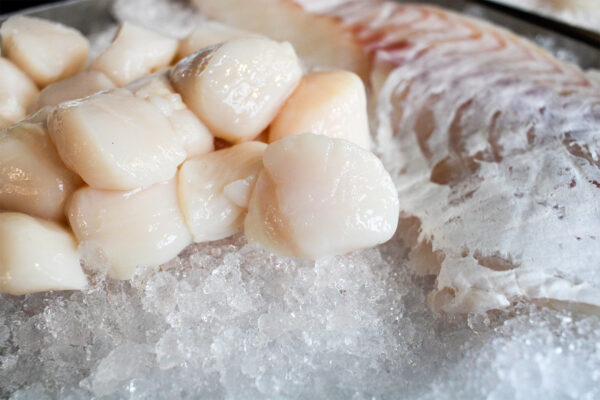 Our Offerings – Waves Seafood